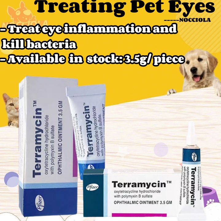 Terramycin 3.5g Ophthalmic Ointment Conjunctiva for Pets Eye Bacteria ...