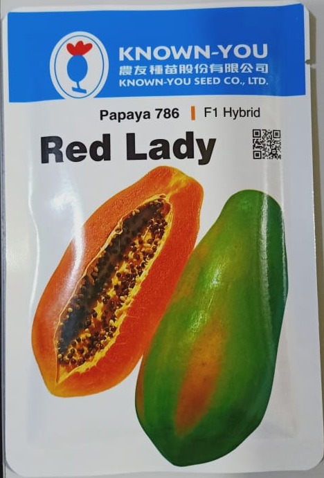 KNOWN-YOU SEED Red Lady Papaya 786 F1 Hybrid 10G | Lazada PH