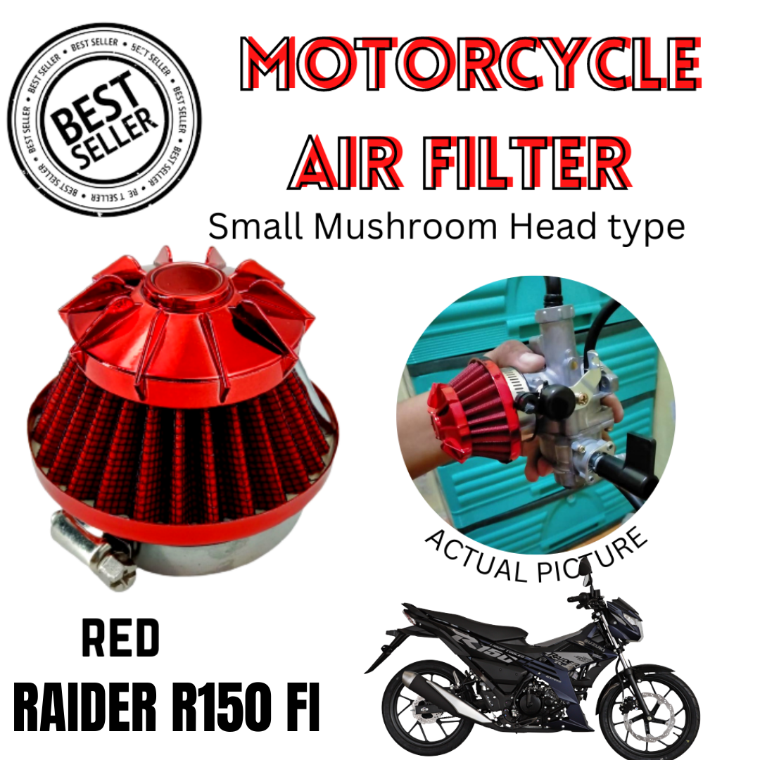 Yamaha Raider Spike Air Cleaner