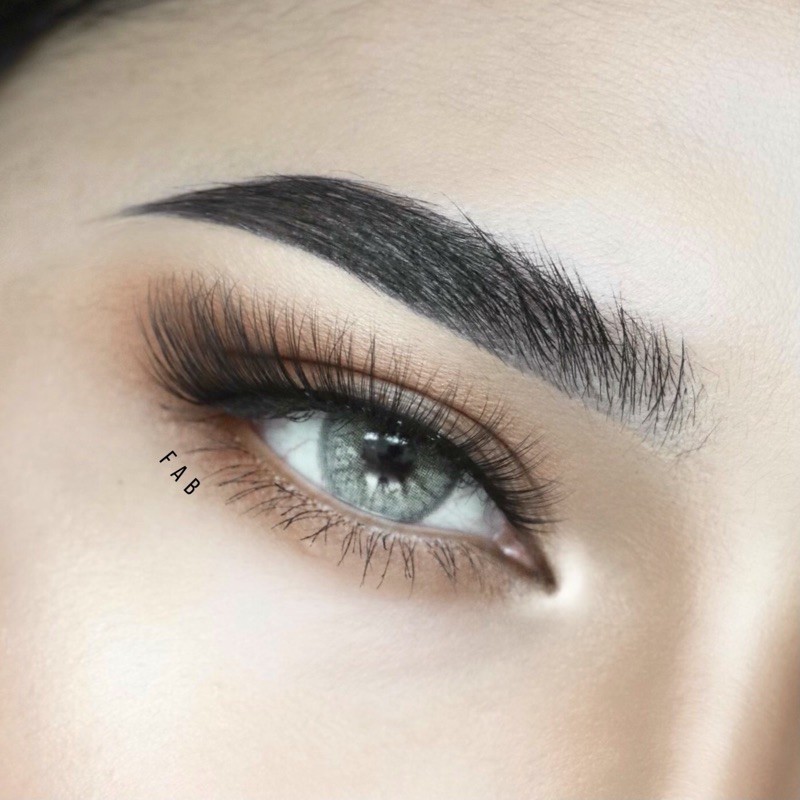 PAULASH SET OF 5 COLLECTION | Lazada PH