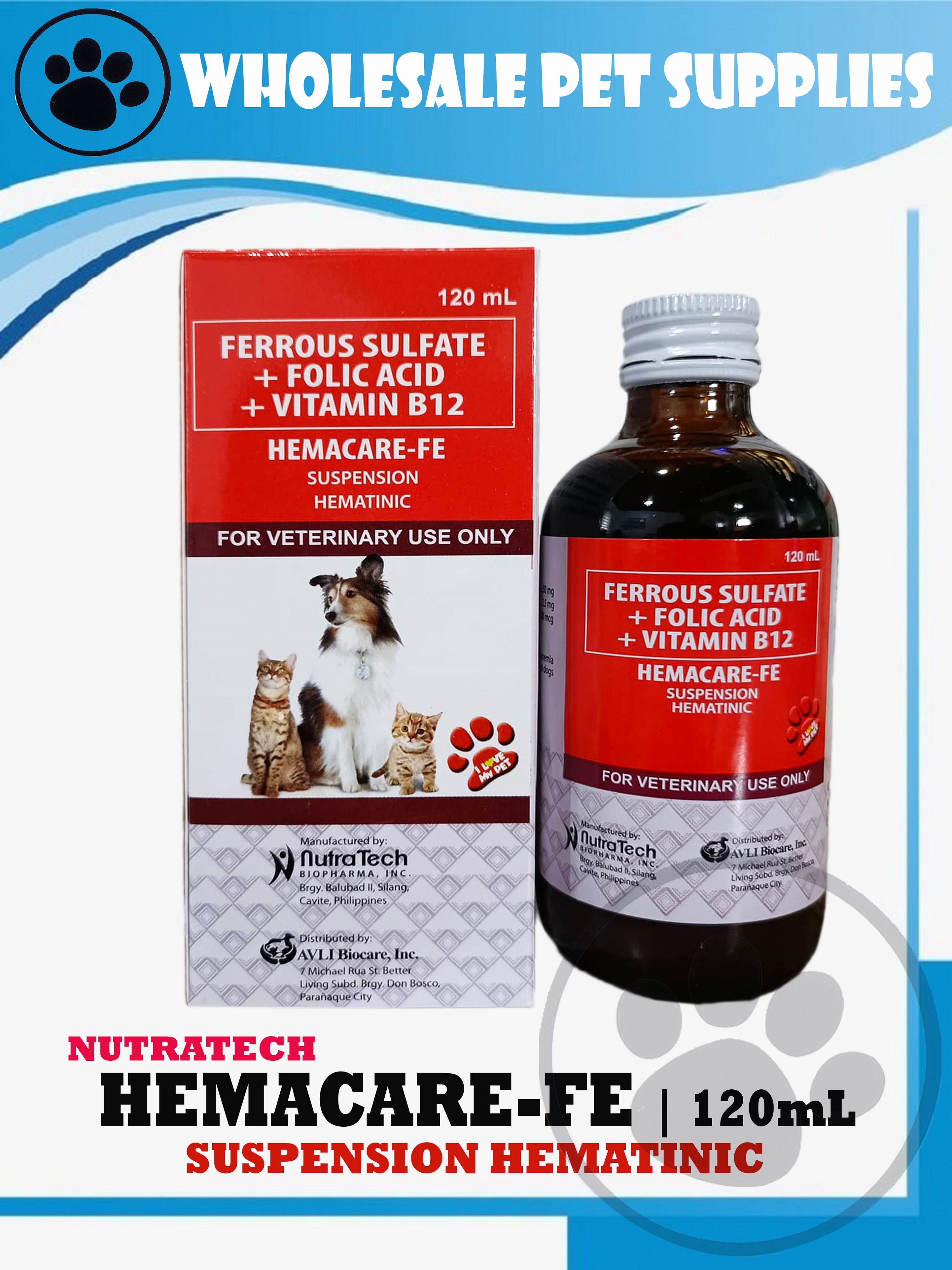 HEMACARE - FE Suspension (HEMATINIC) 120mL | Lazada PH