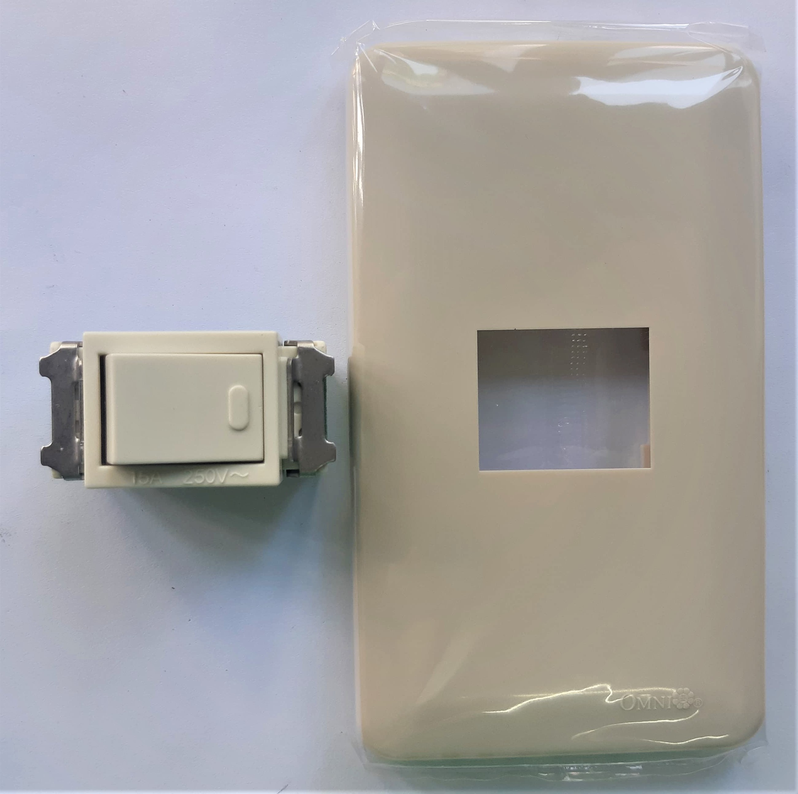 Omni Flush Type One Way 1 Gang Switch With Plate Lazada PH Omni Flush Type One Way 1 Gang Switch With Plate Lazada PH