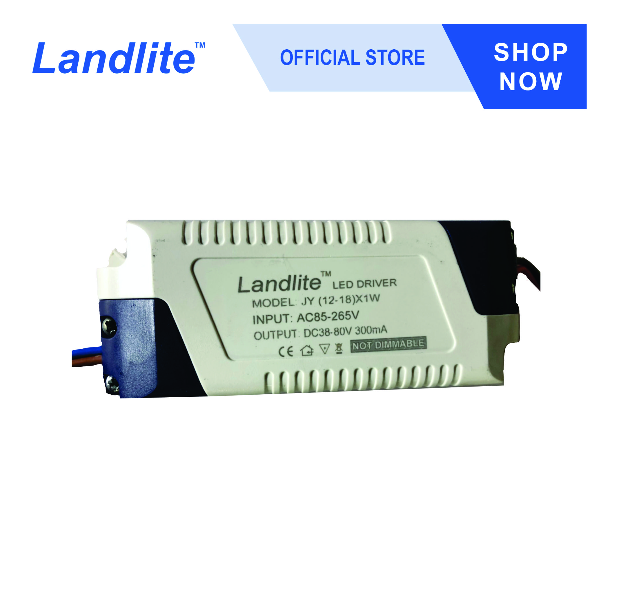 Landlite SPARE DRIVER FOR DL10-15W - JY (12-18)X1W | Lazada PH