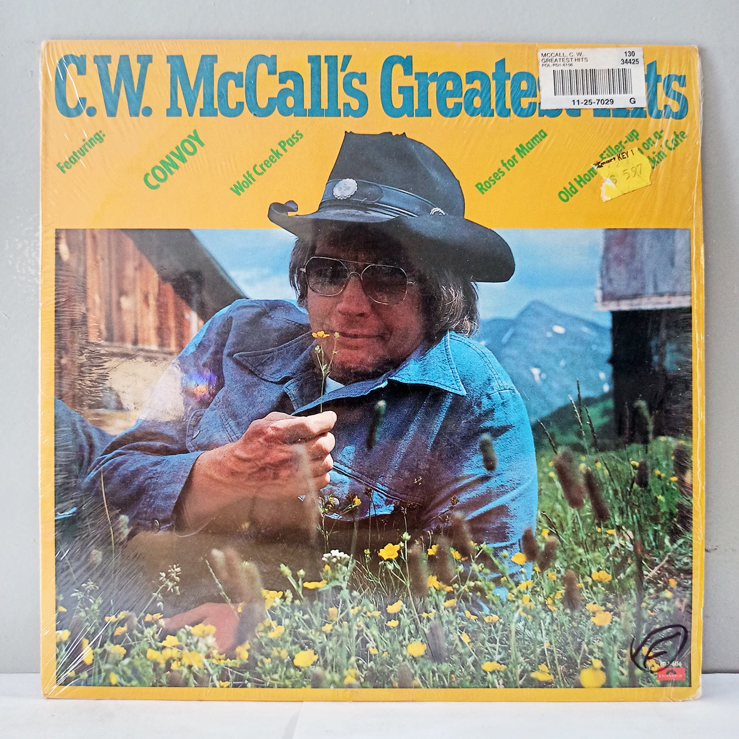 C.W. McCall - C.W. McCall's Greatest Hits - Vinyl Record Plaka LP Album ...
