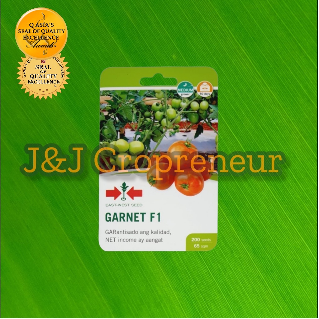 GARNET F1 HYBRID TOMATO 200 SEEDS (EAST WEST) | Lazada PH