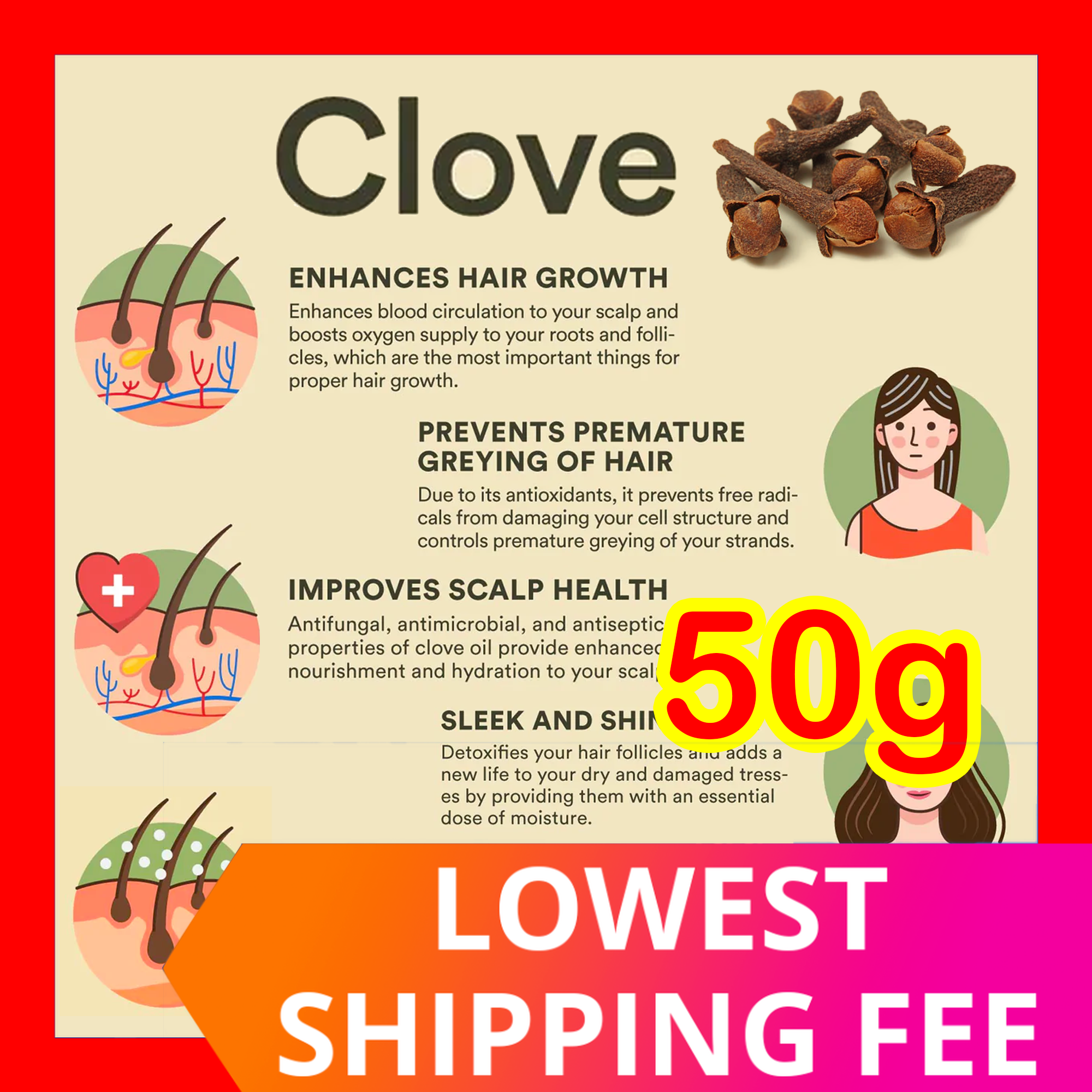 50g CLOVES HERBS for Scent for Hair House Scent Face Whole Clove Dried ...