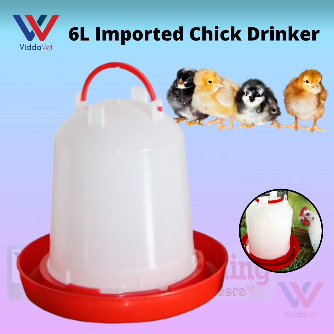 POULTRY 6 Liters Imported Hanging Chick Drinker Waterer for Chicken ...