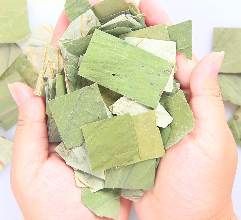 Lotus Leaf tea Popular Slimming Tea of Dried Lotus Leaves for instant ...
