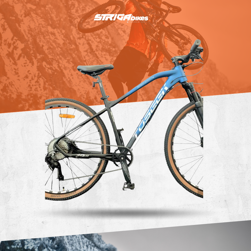 Toseek Brandon 2.0 29er 2023 1x10s MTB | Lazada PH