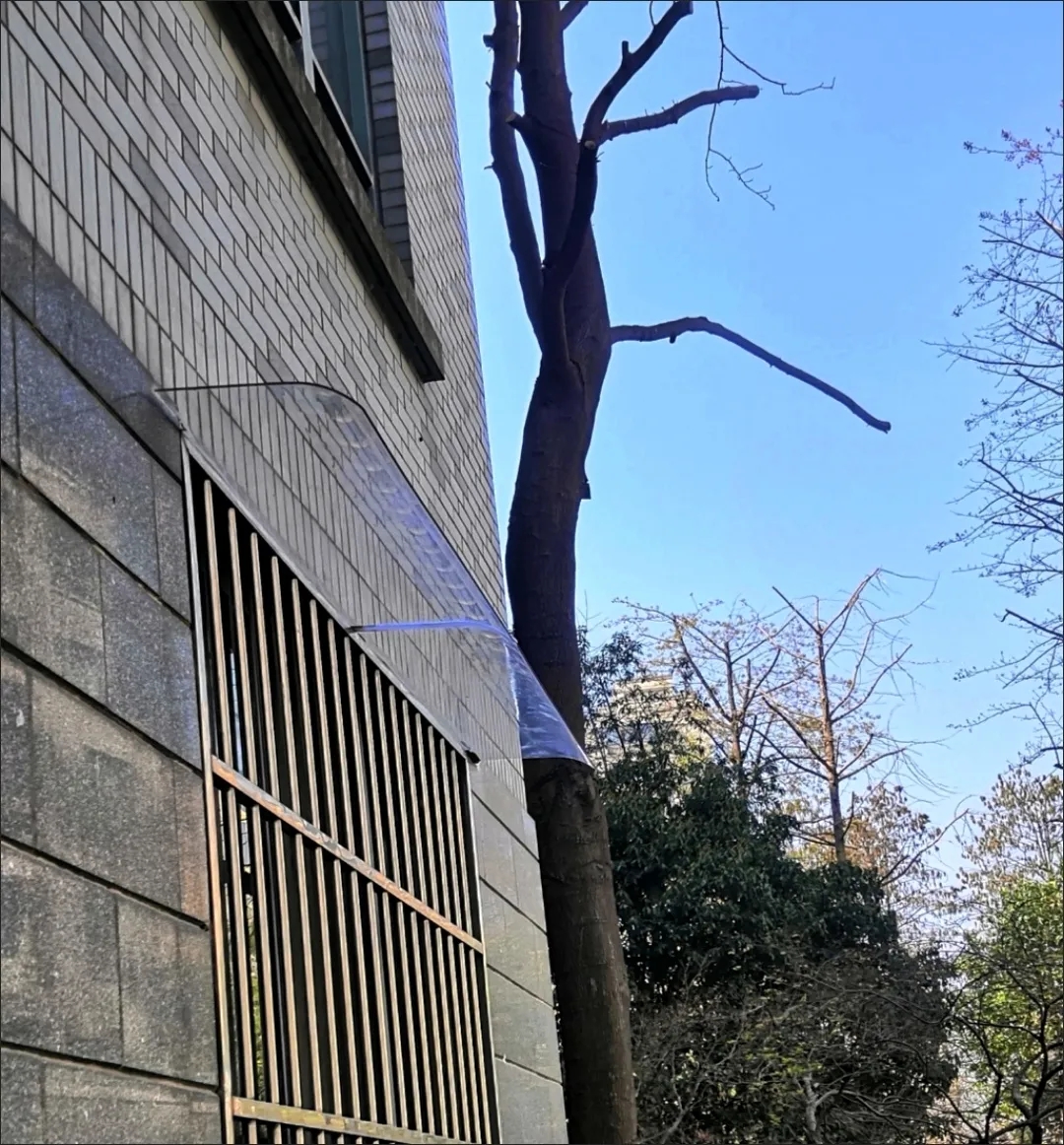 Transparent Mute Canopy Sun Shade House Waterproof Tent for Door ...