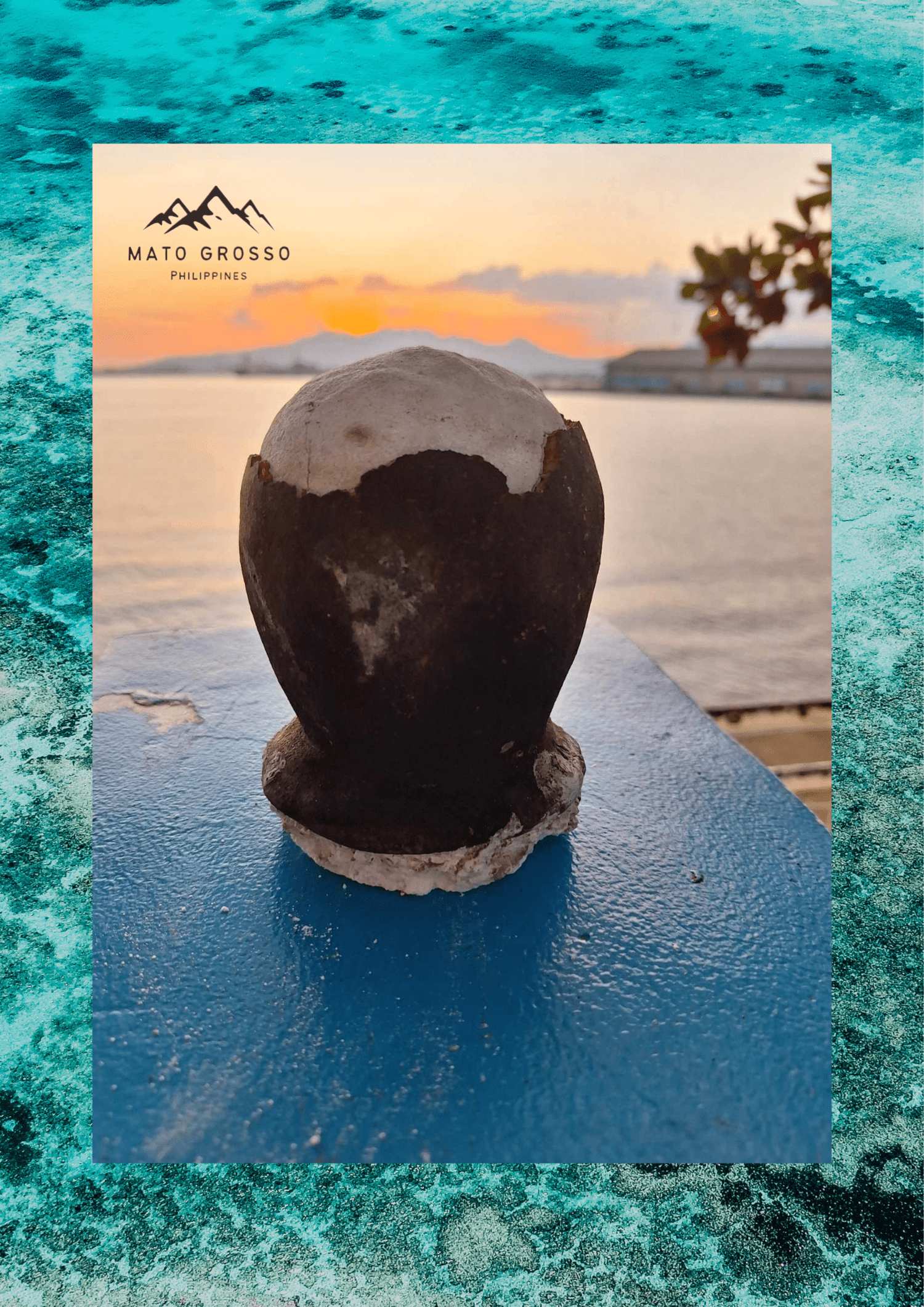 Premium HIGH QUALITY Asin Tibuok from Bohol(cracked dinosaur egg, rare ...