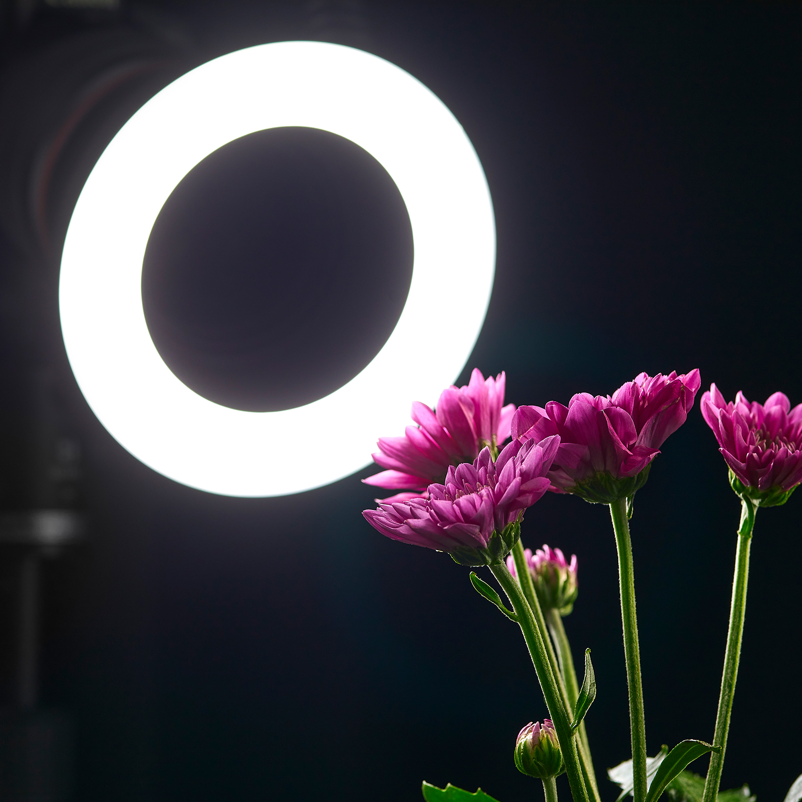 Godox RING72 Macro LED Video Light Professional Photography Fill Light ...