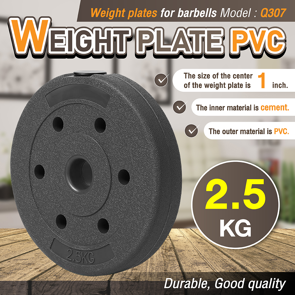 BG SPORT PVC Weight Plate for Dumbbell Barbell Fitness Equipment ...