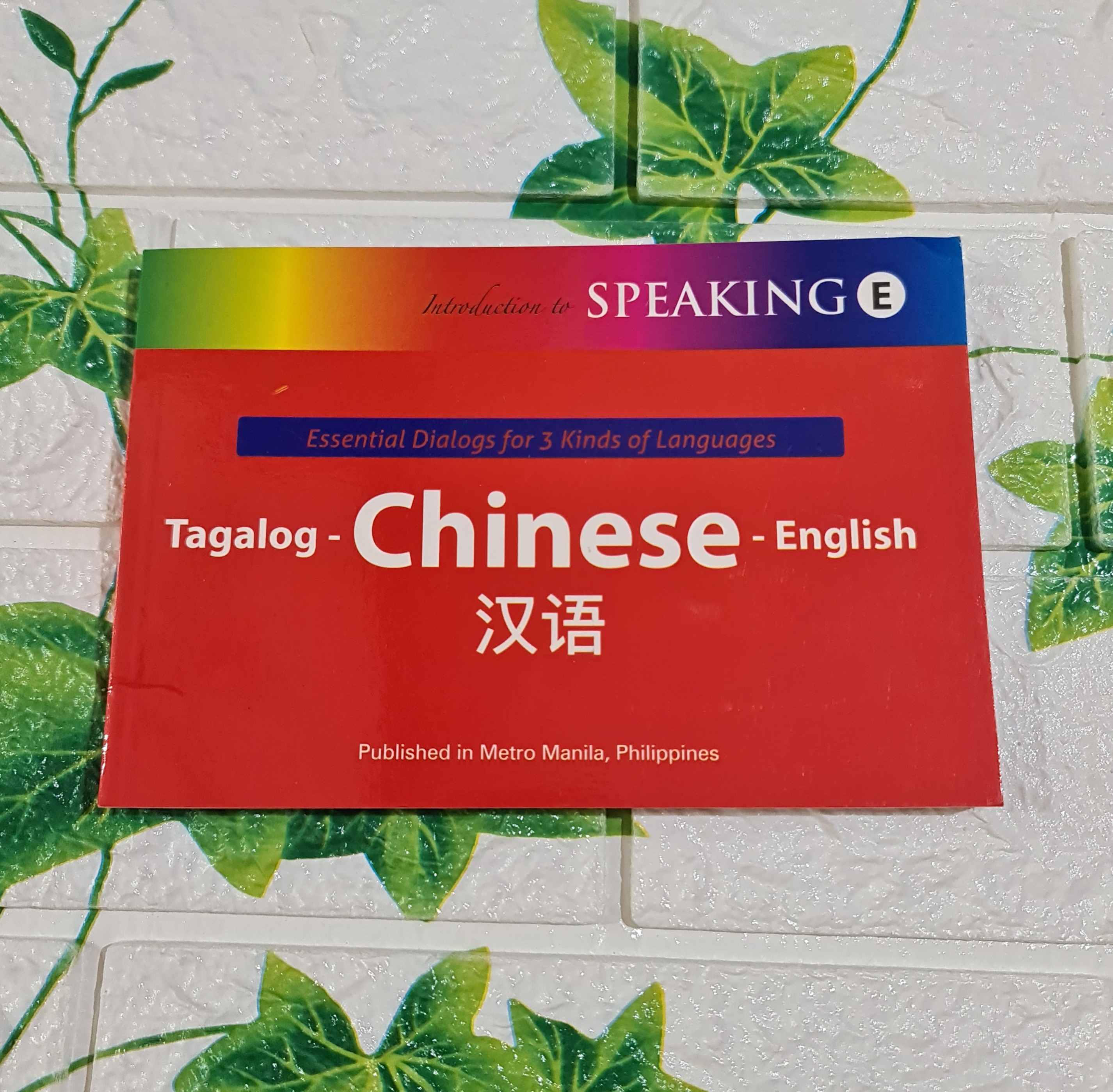 Tagalog-CHINESE-English | Lazada PH
