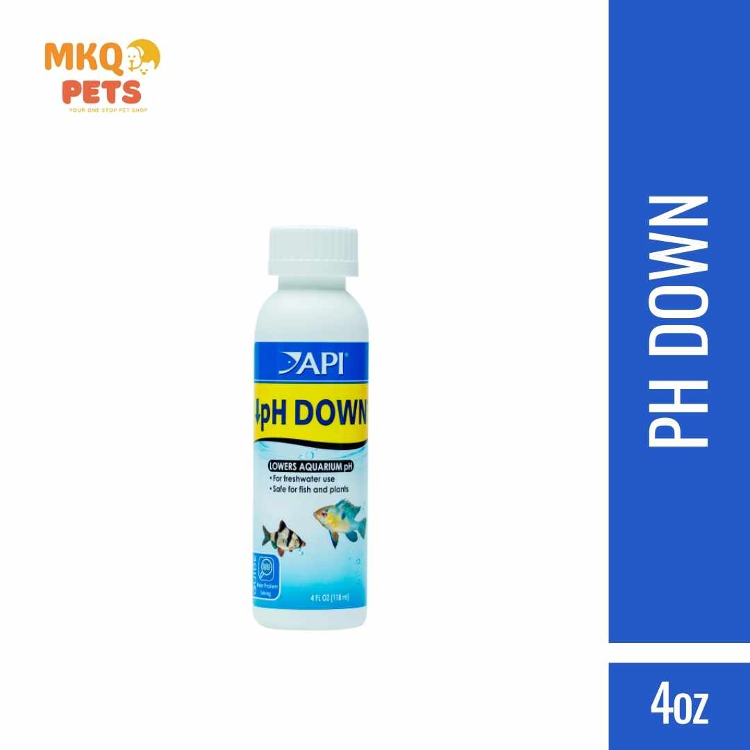 API Ph Down | Lazada PH