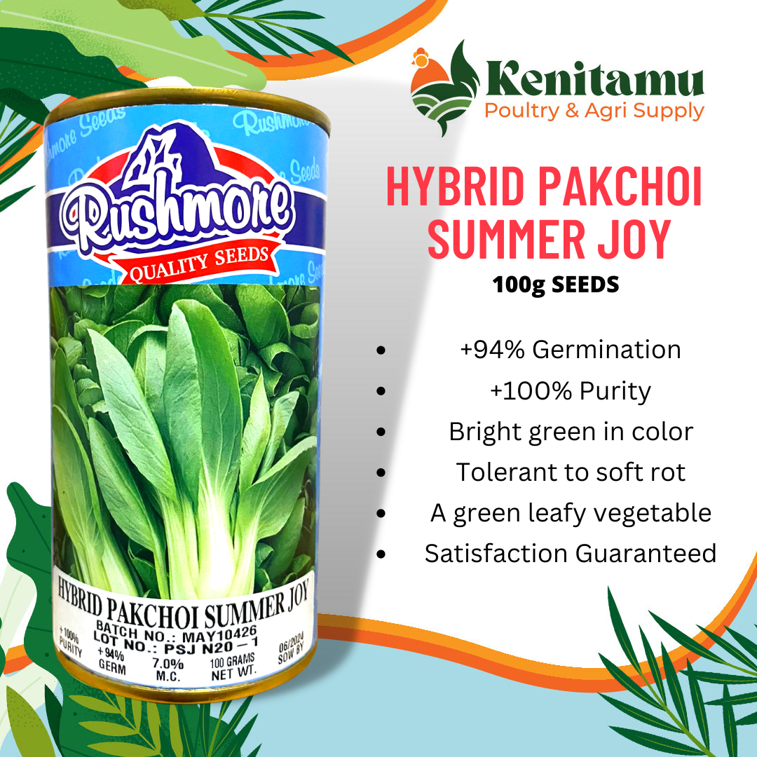 RUSHMORE HYBRID PAKCHOI SUMMER JOY 100g SEEDS BY: RAMGO INTERNATIONAL ...