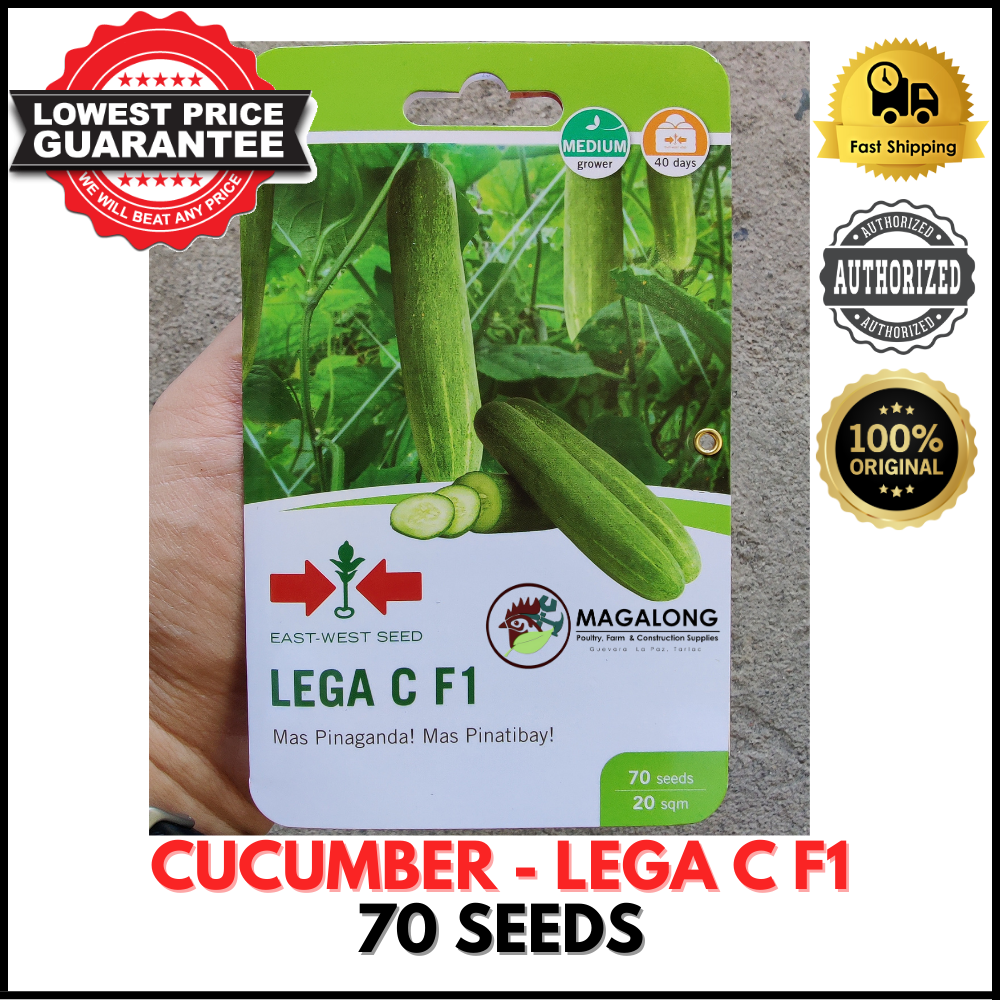 EAST-WEST SEEDS - CUCUMBER SEEDS - LEGA C F1 HYBRID - 70 SEEDS | Lazada PH