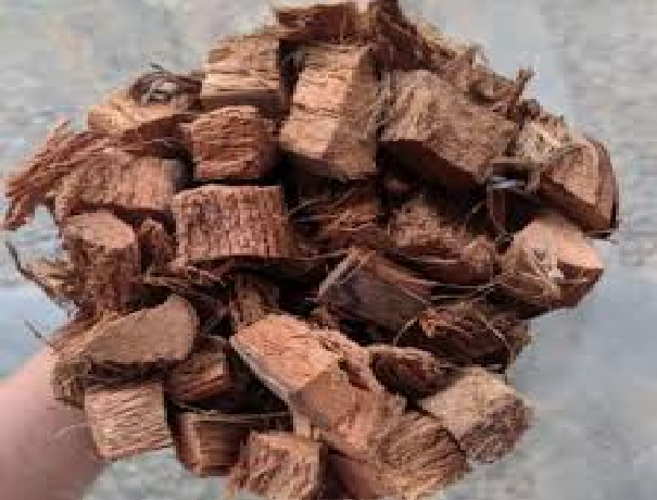 Coconut Husk, Coco Cubes 1kgs | Lazada PH