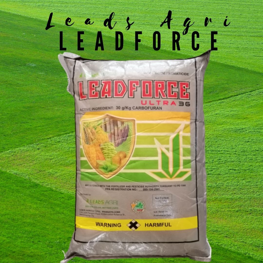 Leadforce ULTRA 3G Carbofuran16.7kg Insecticide Pesticide | Lazada PH