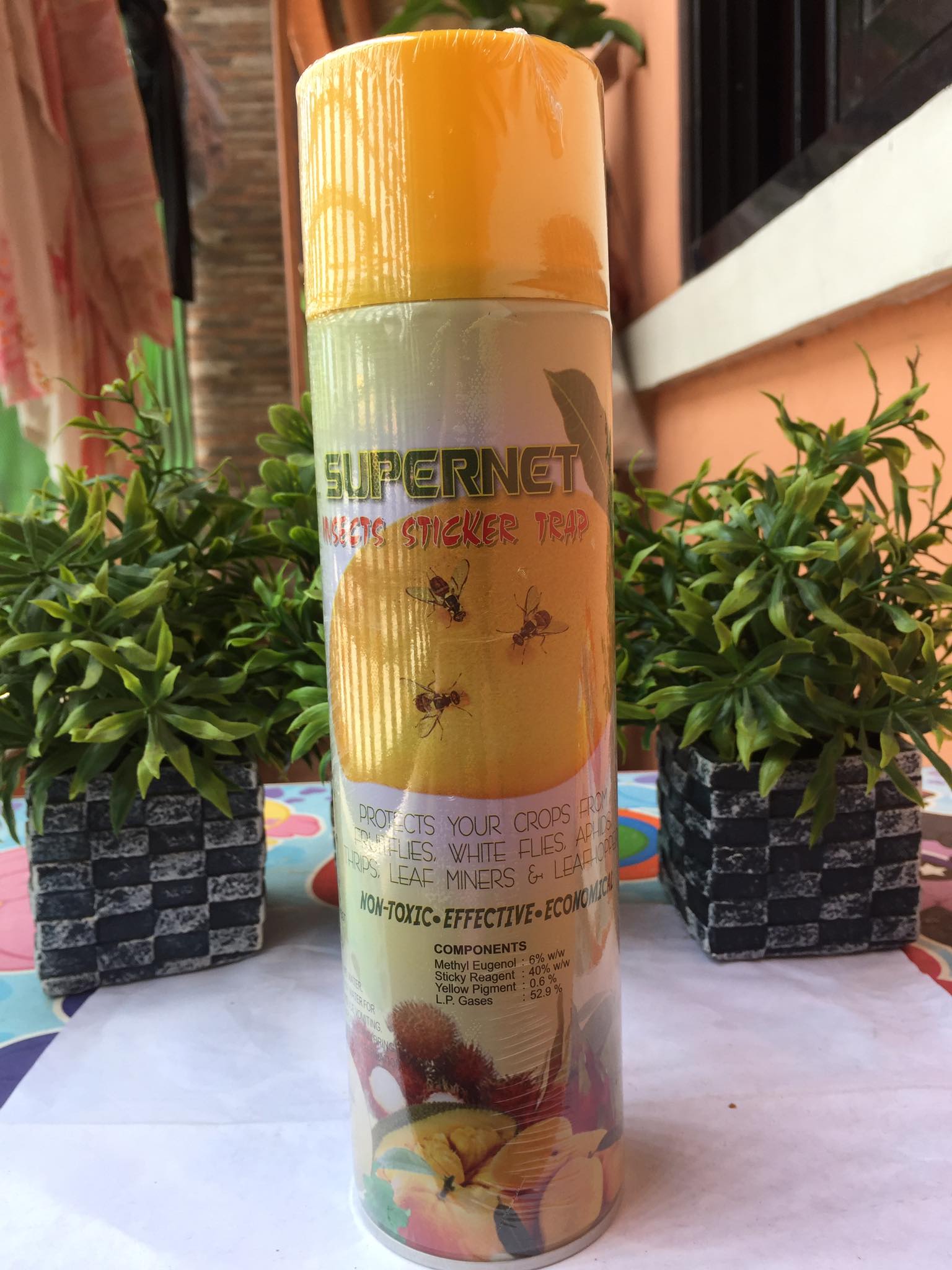 Supernet Insect Sticker Trap 600mL | Lazada PH