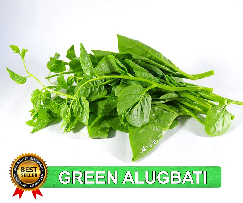 VALUE PACK! 4PCS SEEDS - GREEN ALUGBATI SEEDS/TAGALOG HYBRID/EASY TO ...