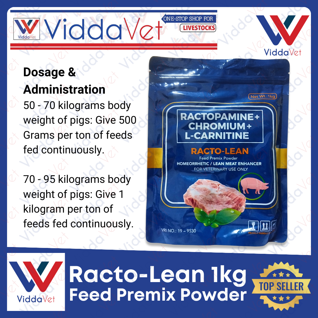 1kilo Racto Lean enhance weight gain improve carcass for pigs swine 1 ...