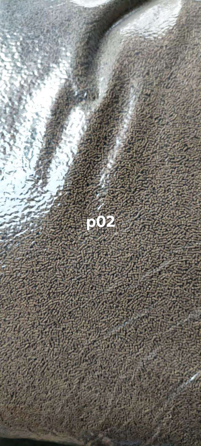 PO2 FISH FOOD 500g 1/2kg | Lazada PH