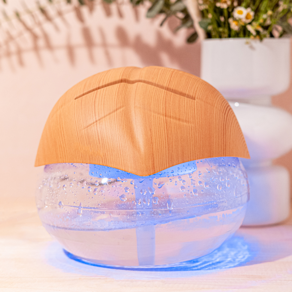 H2O Air Purifier Humidifier and Revitalizer with LED Light 1 Liter FREE ...