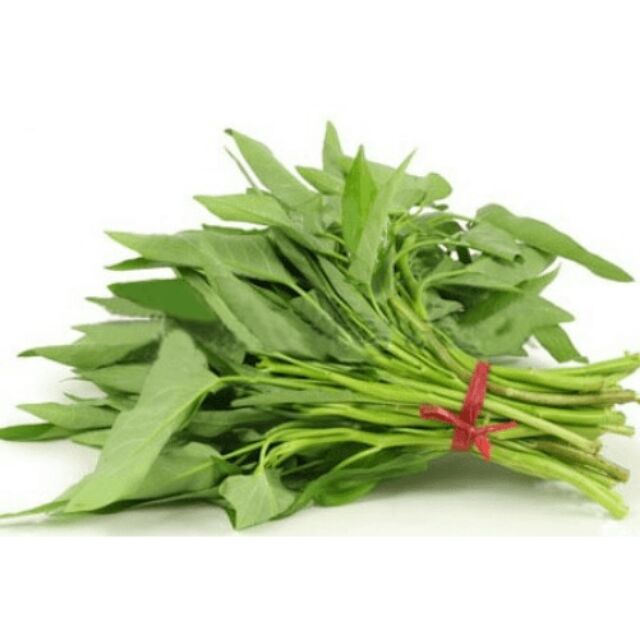 Chinese Kangkong 10grams Seeds Taniya / Upland Kang kong / Water ...