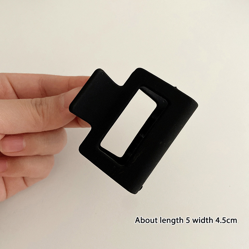 Felice. Frosted Hairpin Fixed Back Of Head Grasping Clip Shark Clip ...