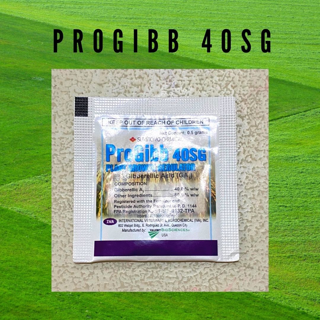 ProGibb 40SG Plant Growth Regulator Gibberellic Acid | Lazada PH