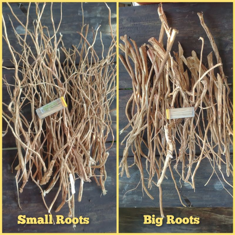 Root Bundle for Aquascaping | Lazada PH