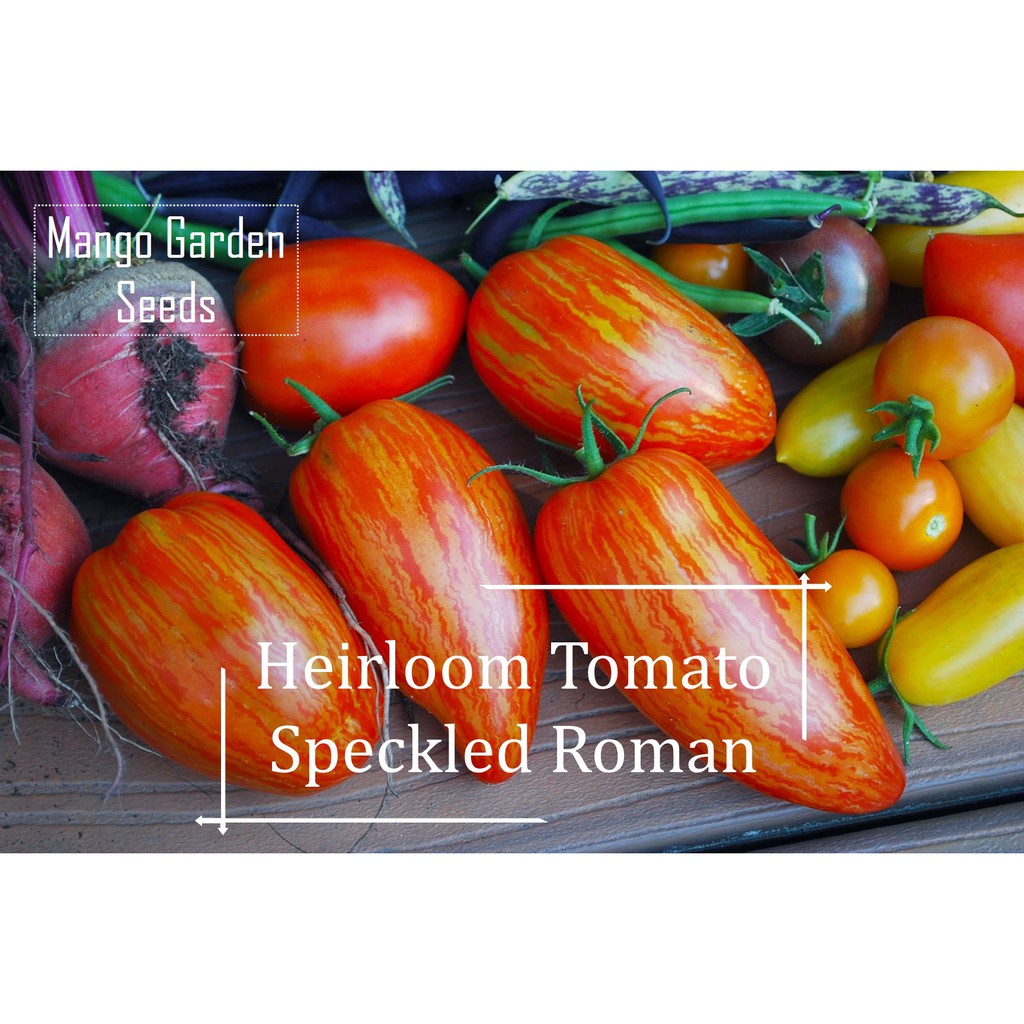 *Rare* Heirloom Speckled Roma Tomato Seeds - 20 Seed *Pot Friendly ...