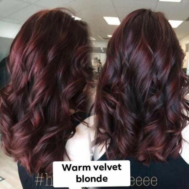 8.7 rich velvet blond | Lazada PH