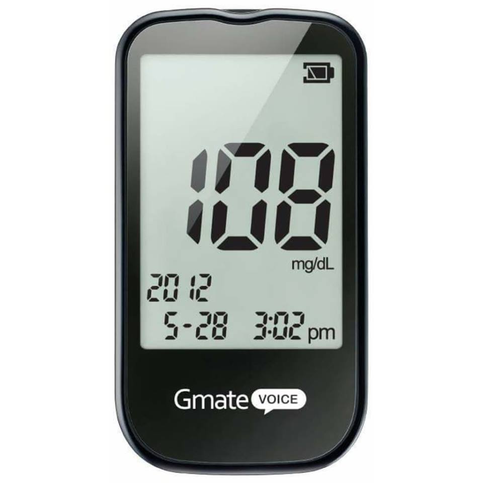 Original Gmate Voice Glucometer with 25 pcs. test strips (Made in Korea ...