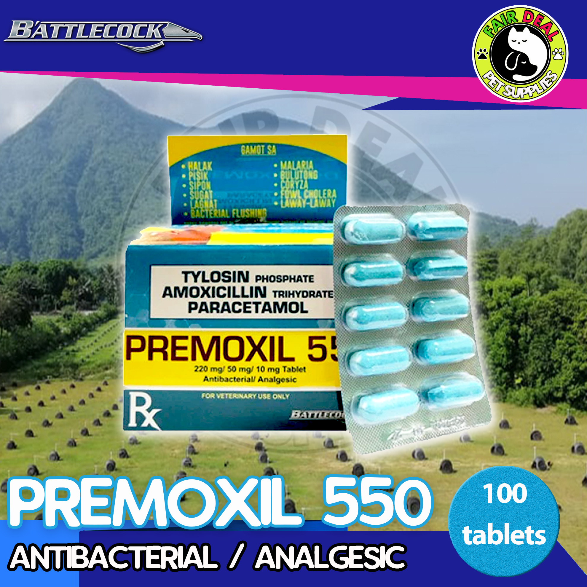 PREMOXIL 550 - 100 Tablets 1 Box | Lazada PH