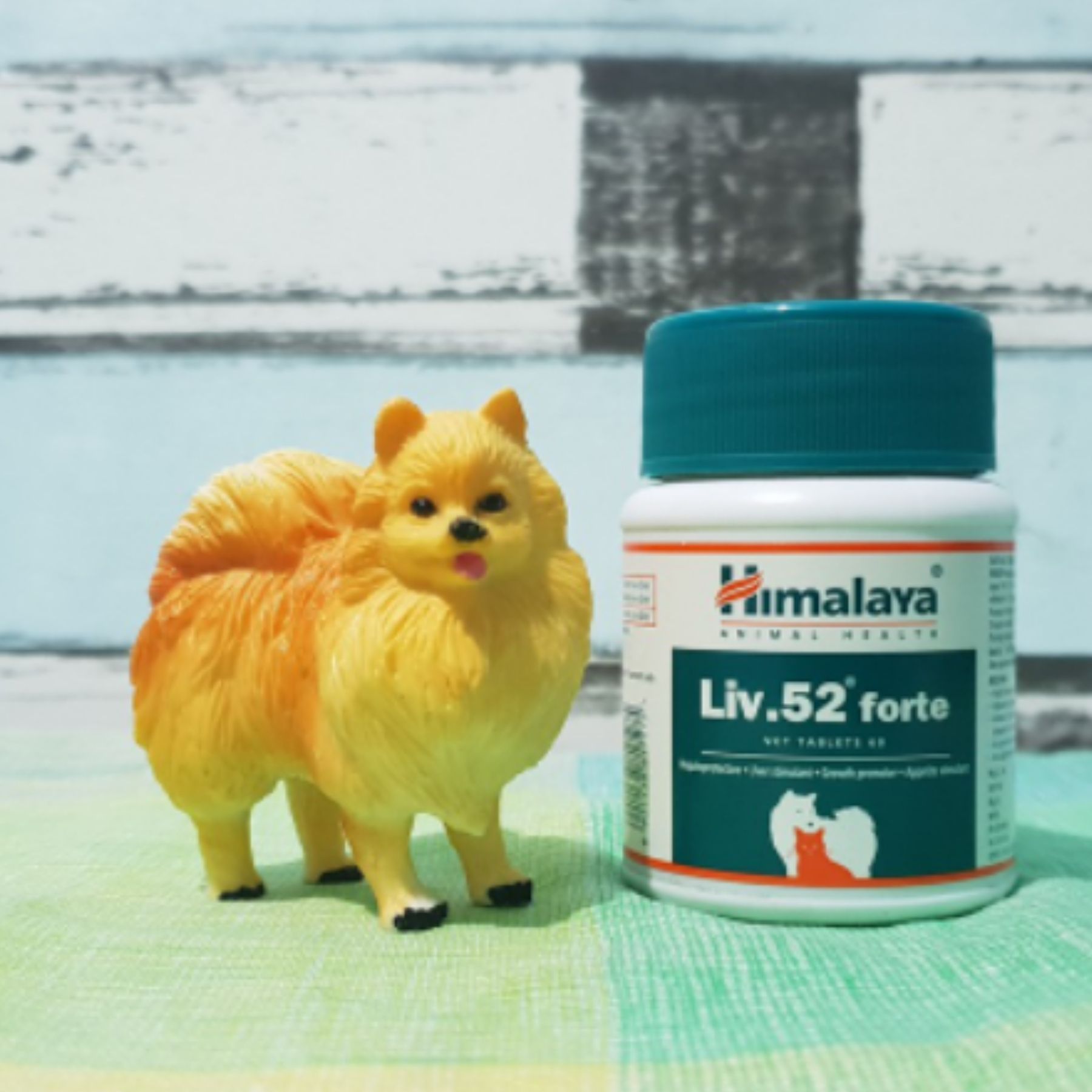 Himalaya Liv 52 Forte Vet Tablets for Liver Care of Dogs and Cats (60 ...
