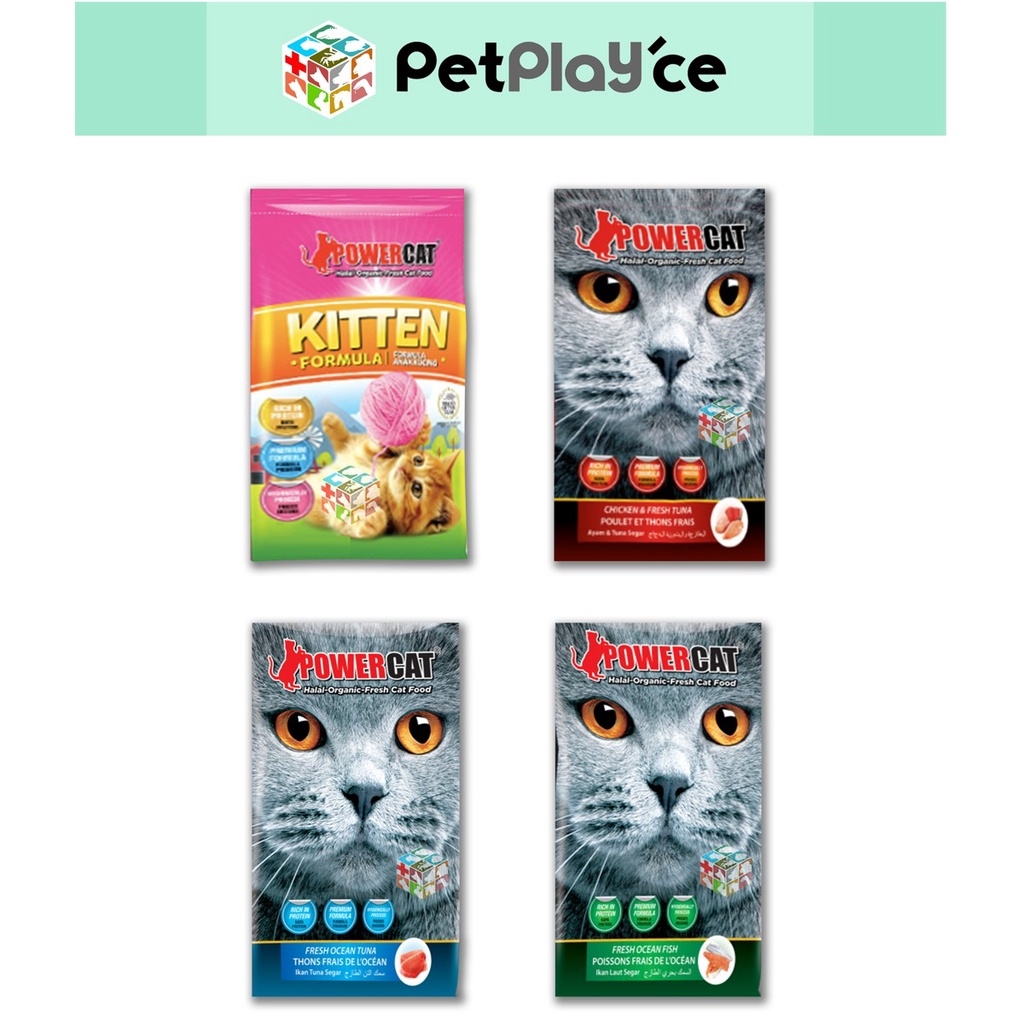Power Cat for Cat Kitten Food Dry 1kg PowerCat pet food | Lazada PH