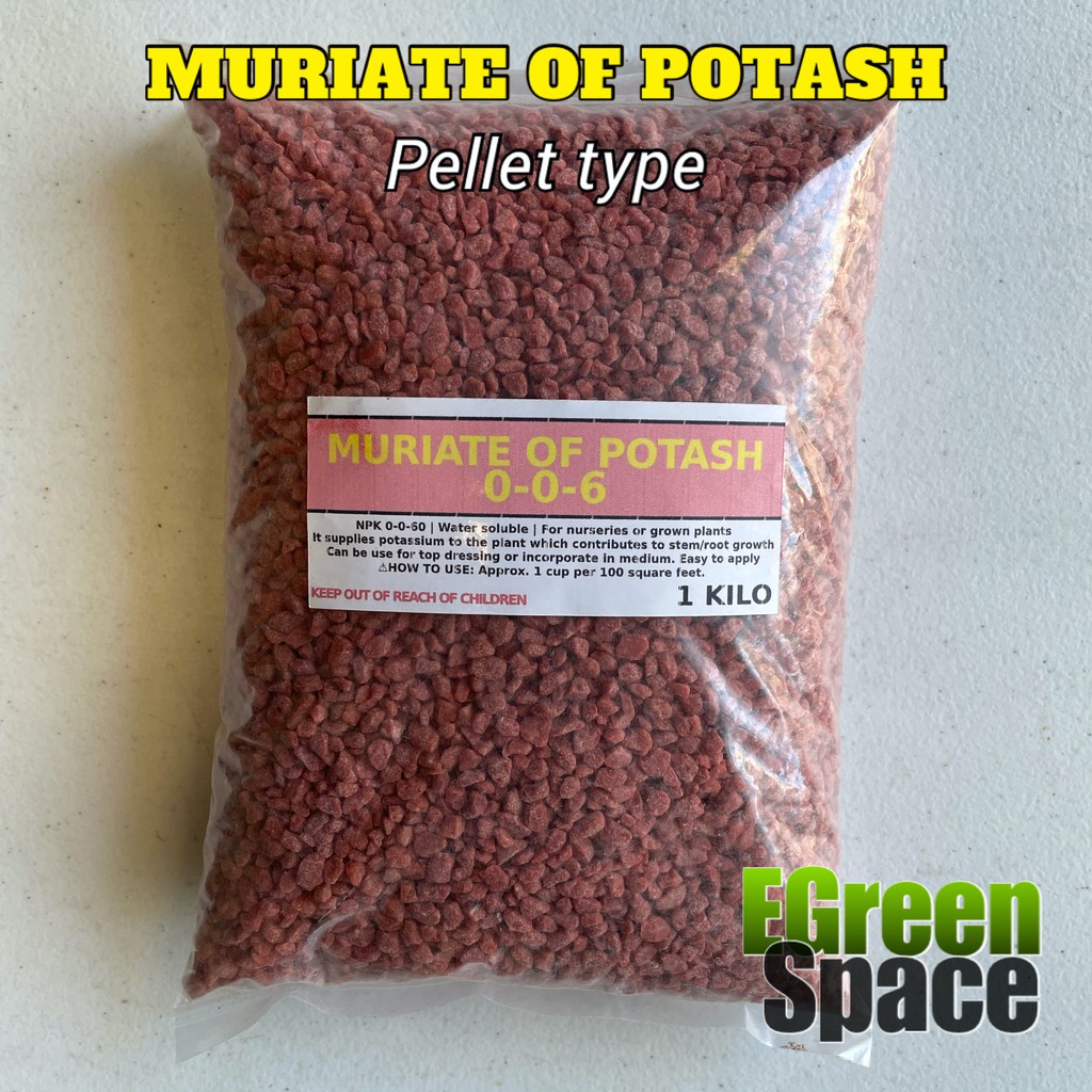 ★MURIATE OF POTASH (1KILO) POTASSIUM FERTILIZER | Lazada PH