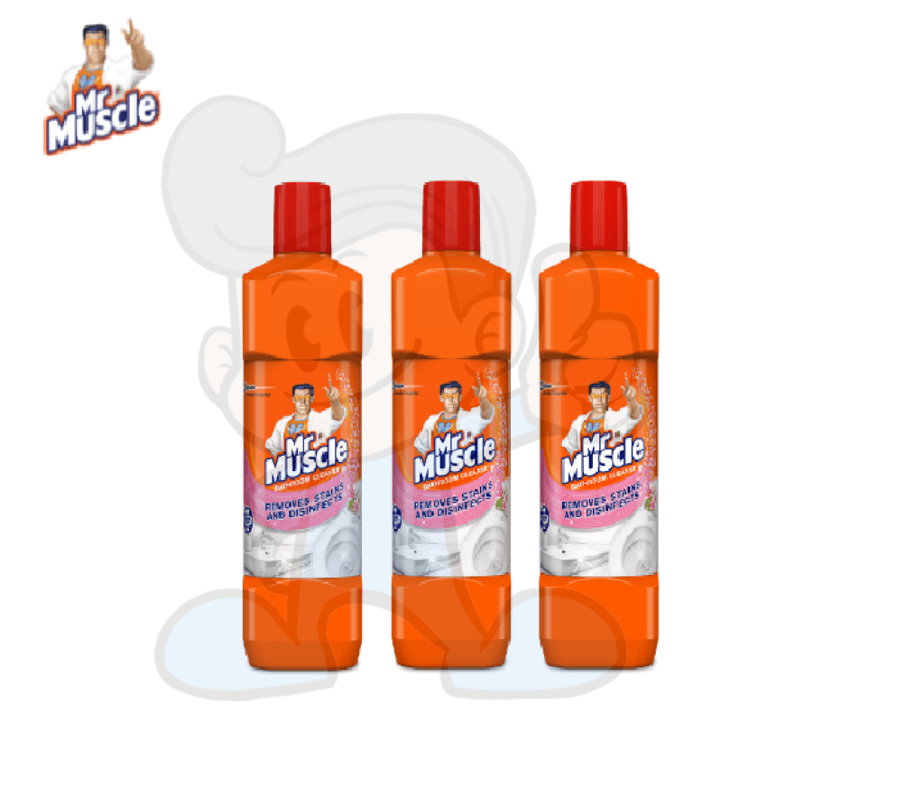 SCJ Mr Muscle Bathroom Cleaner Floral (3 x 450 mL) | Lazada PH