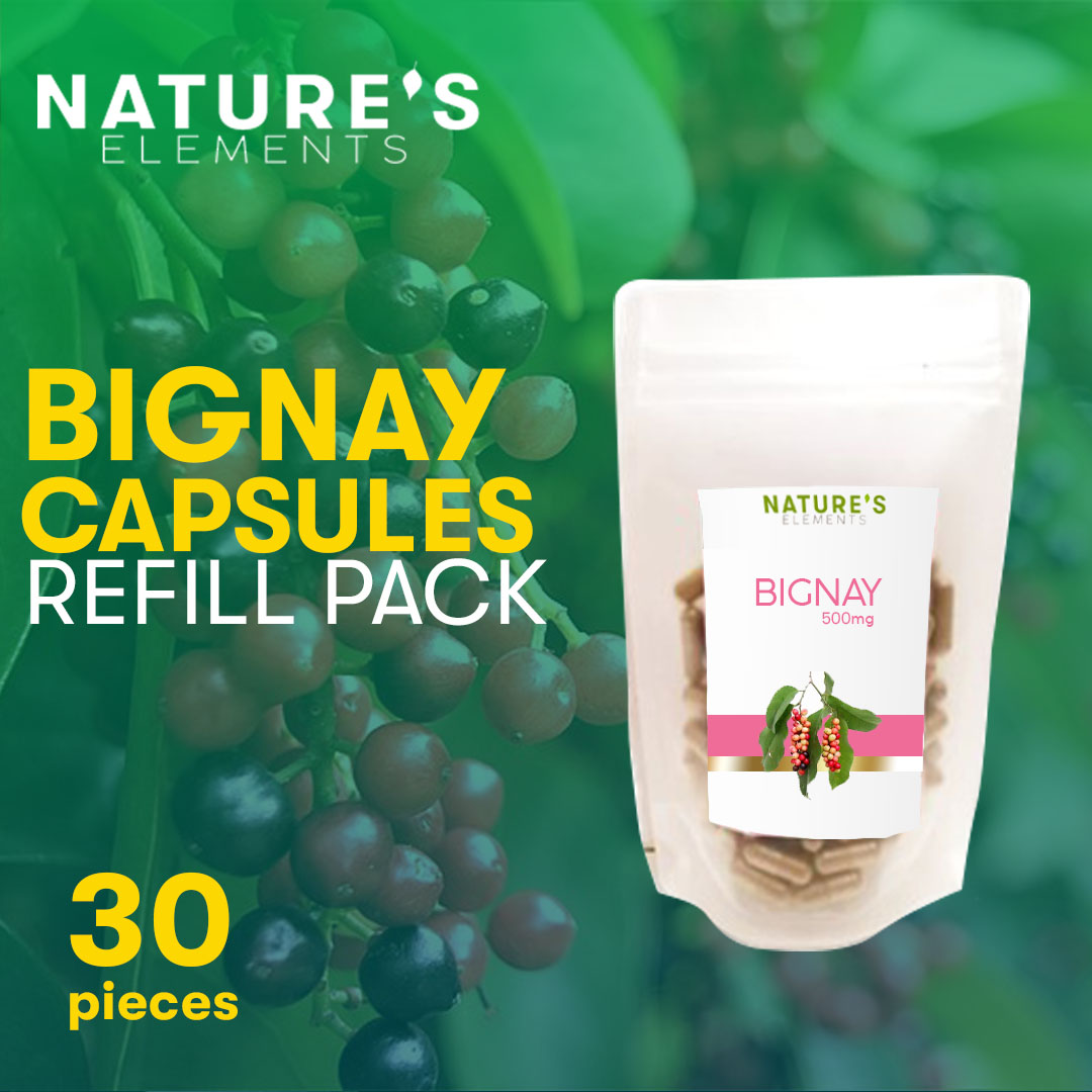 Organic Pure Natural Bignay Capsules Refill Pack (30 Capsules) Bignay ...