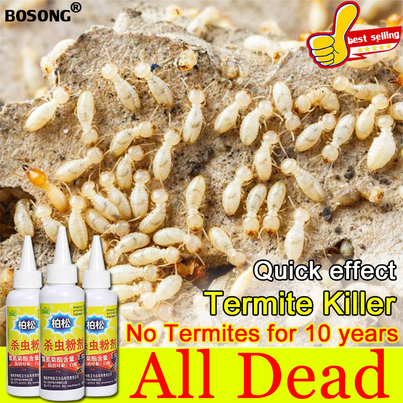 10 years without termites Termite Killing Powder75g Infect and kill in ...