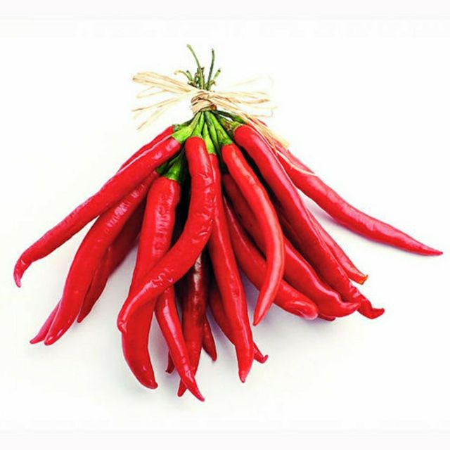Siling Labuyo 10gram Hybrid - Hot Pepper Taiwan Chili / Siling Taiwan ...