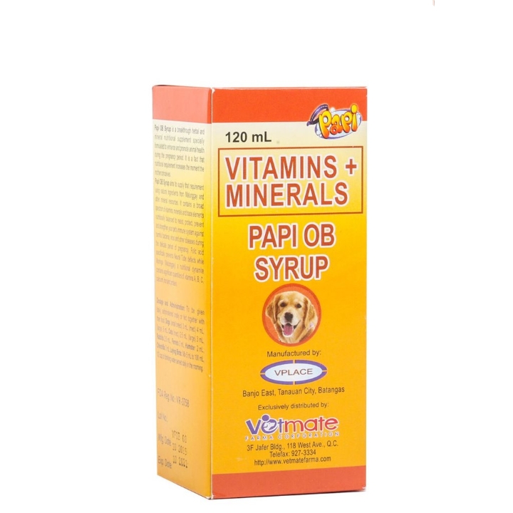 Papi OB Syrup Vitamins + Minerals 120ML | Lazada PH