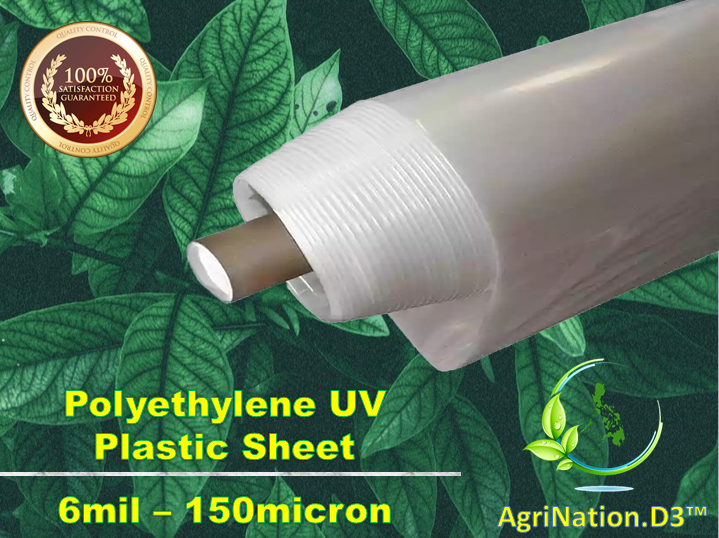 PolyEthylene UV Plastic Sheet for Greenhouse (6 mil - 150 Microns ...