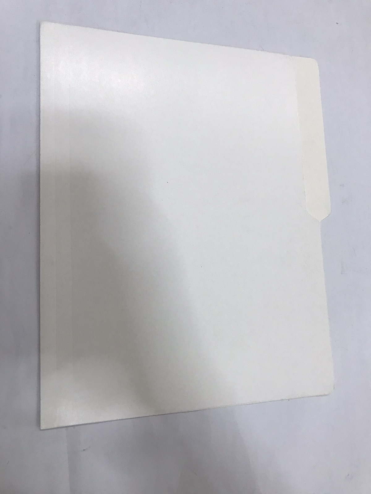 System White Folder (A4) 14pts 12’s | Lazada PH