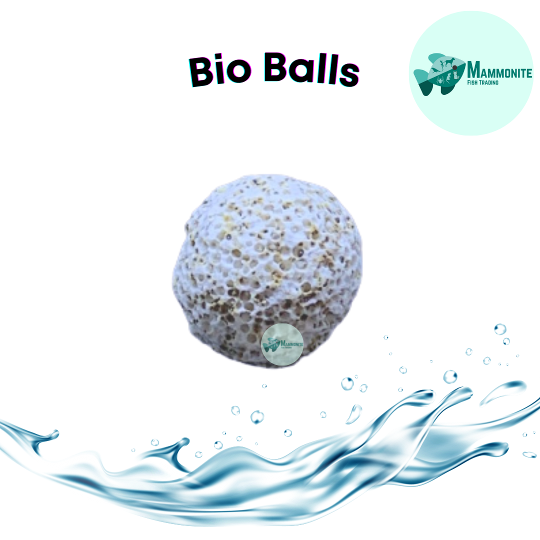 Aquarium Bacteria Balls 100 Grams Filter Media Fish Tank Pond | Lazada PH