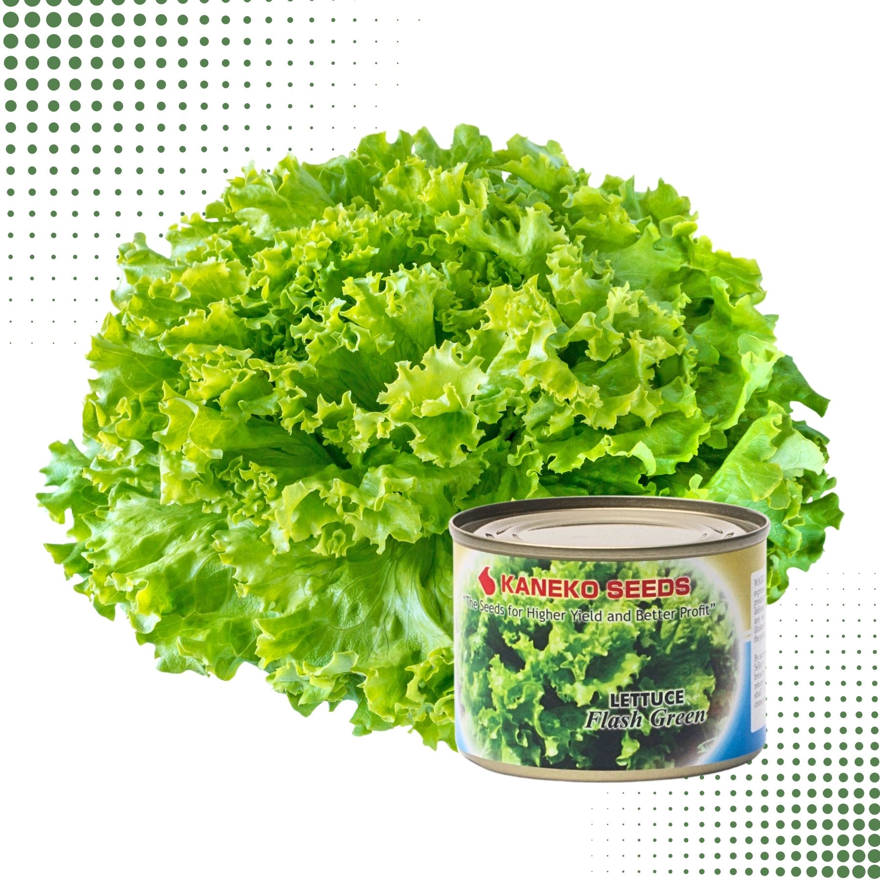 Kaneko Japan | Flash Green Lettuce Seeds (50 grams) | Lazada PH