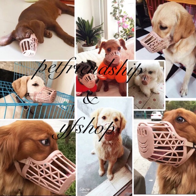 pet busal /pet muzzle | Lazada PH