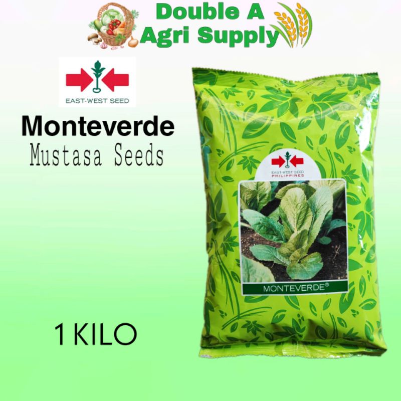Monteverde Mustasa / Mustard - East West Seed | Lazada PH